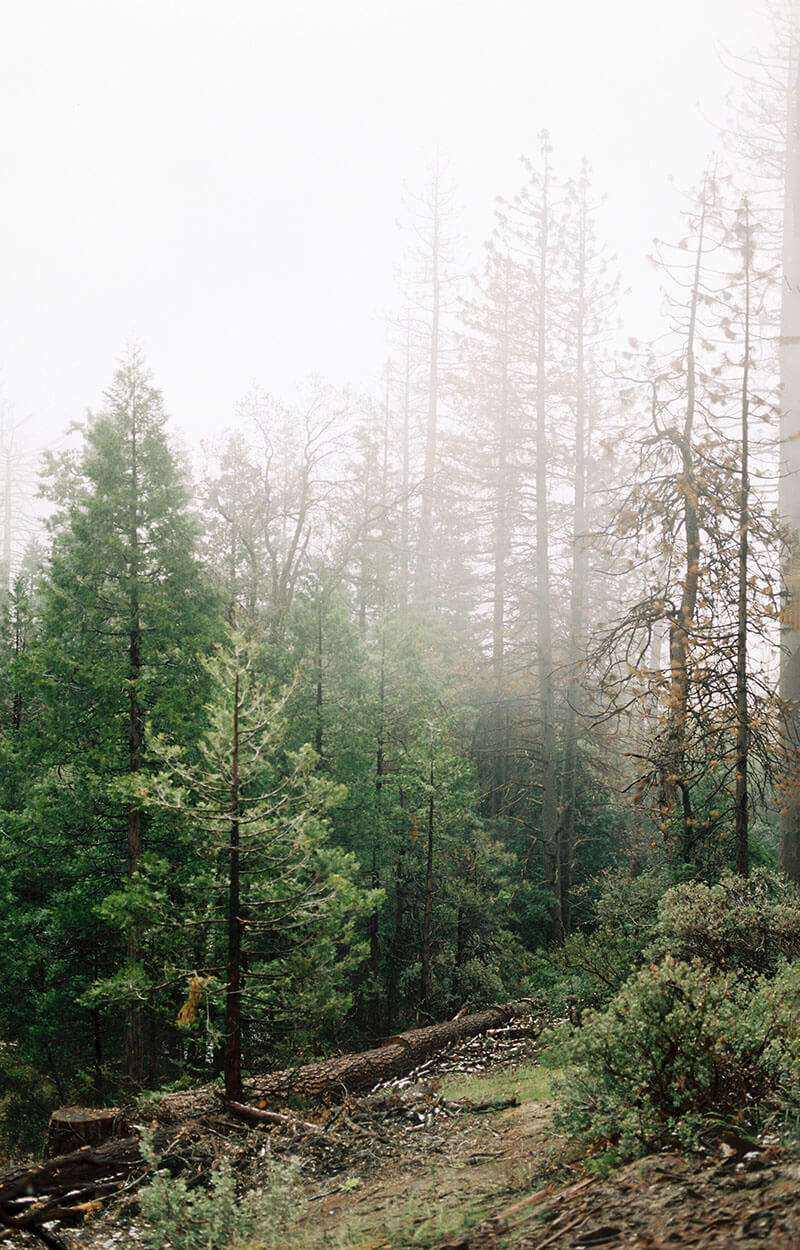 Projet - Innov & Décor